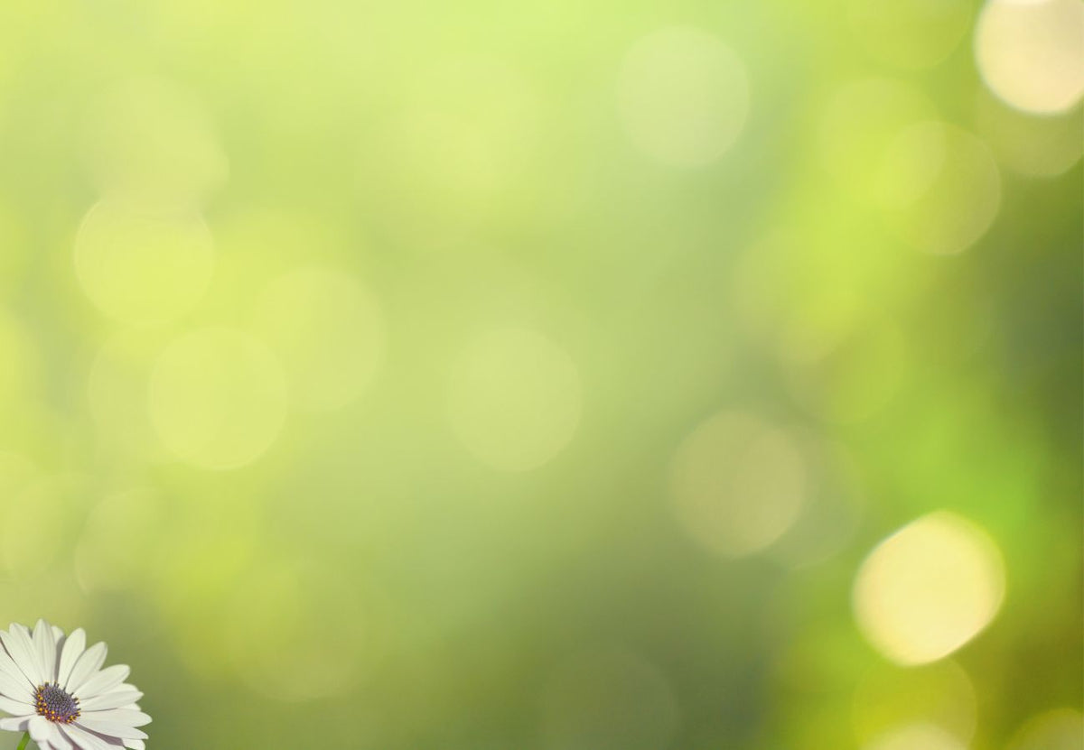 Summer Courses – Tagged "SAT"– Curvebreakers